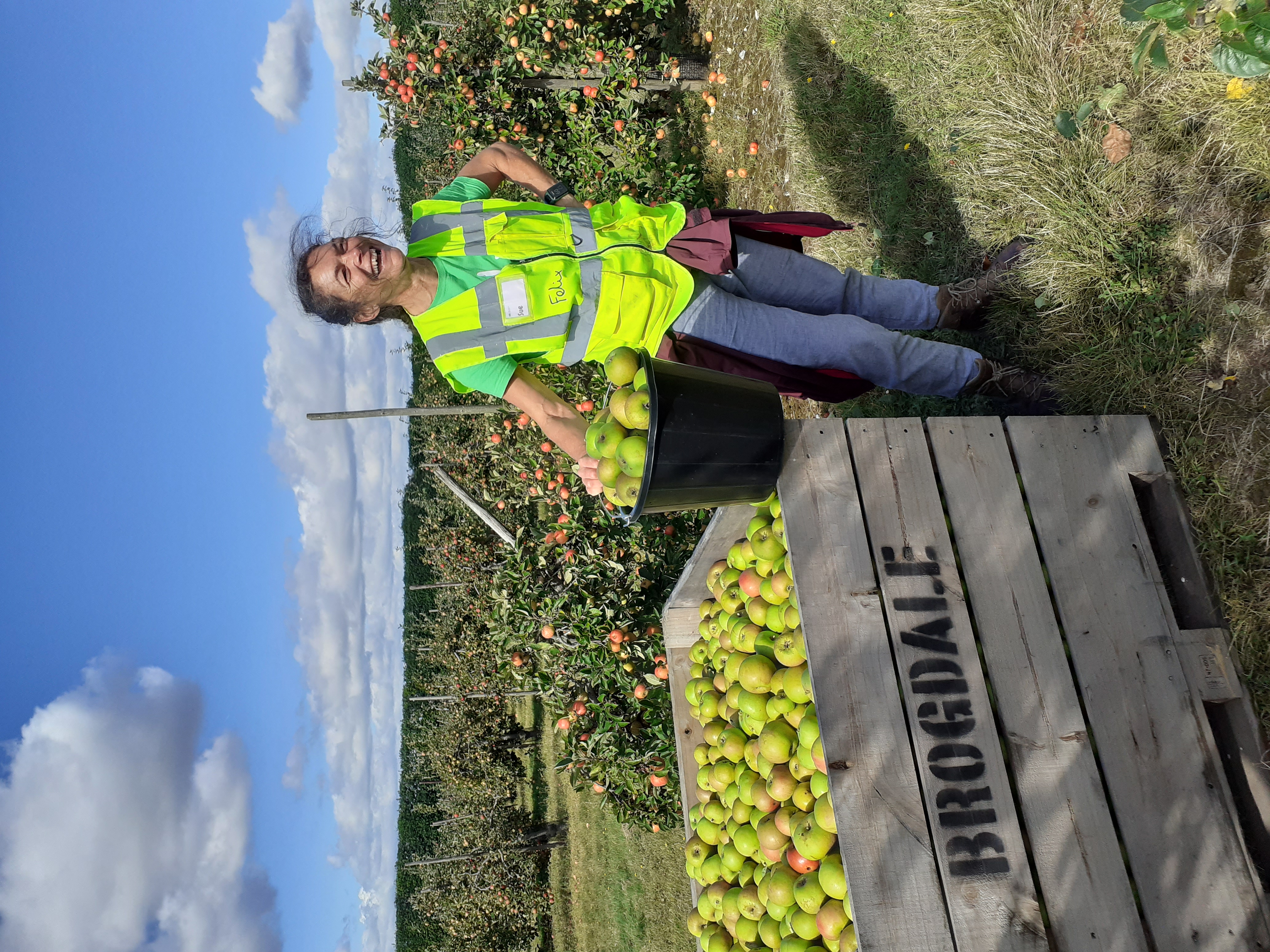 Brogdale Collections at the home of the National Fruit Collection ...