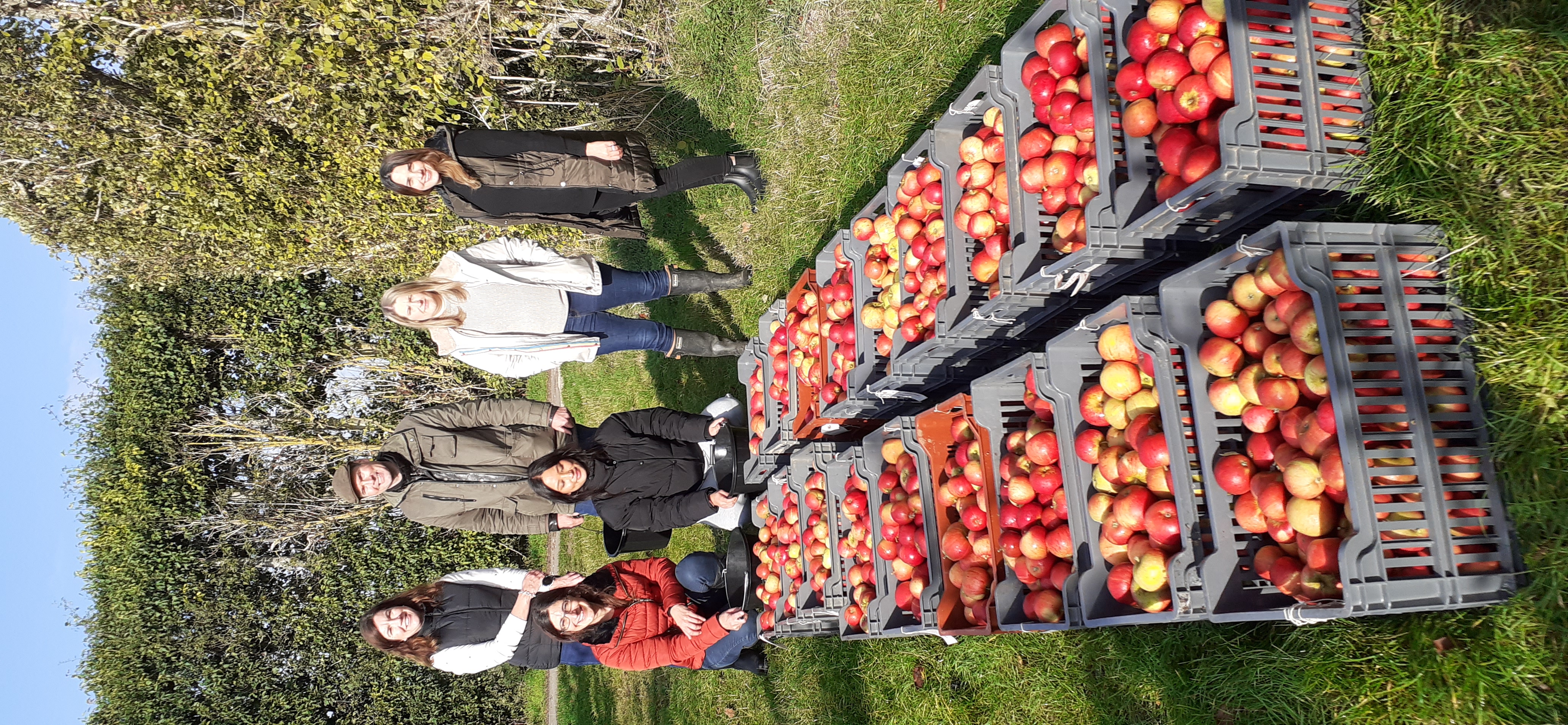 Brogdale Collections at the home of the National Fruit Collection ...